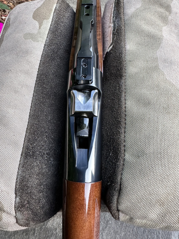 IMG 1281 — Postimages