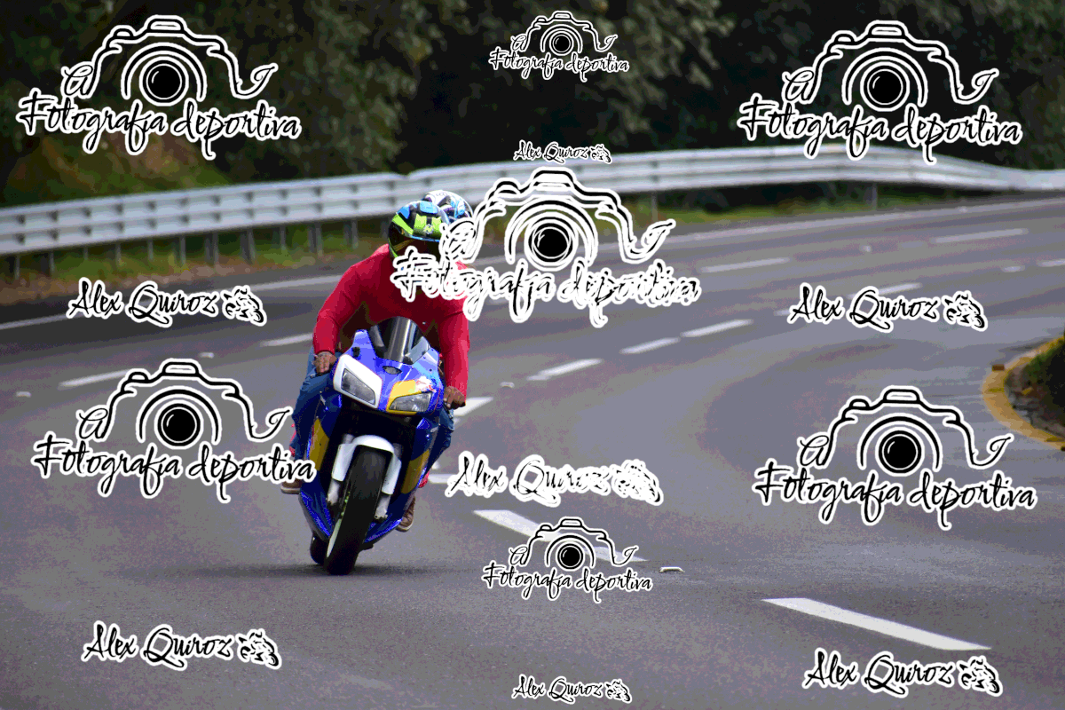 AVQ 6608 — Postimages