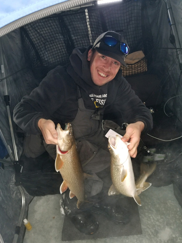 49384 MMS 1549197185146 attachment1 20190202 090832 — Postimages