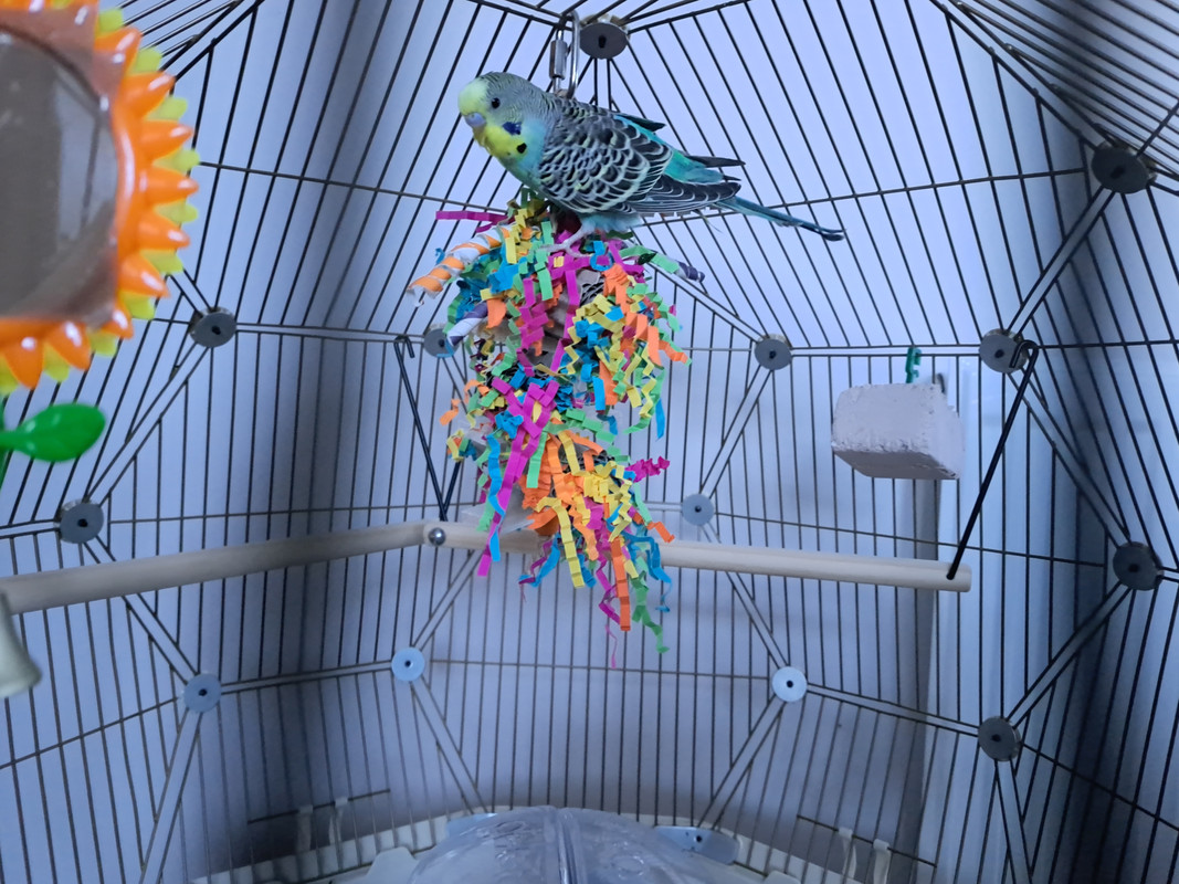 20221024 074406 — Postimages