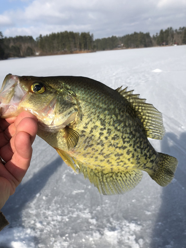 95 F3 DC71 AEAB 45 D1 8863 147 F82148 B13 — Postimages