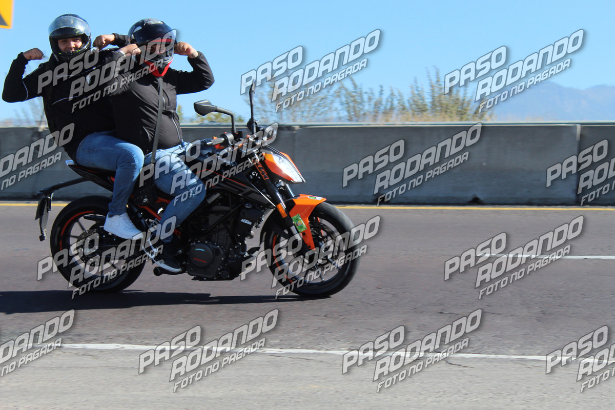 IMG 6468 wm 8079029 799999999 watermarked — Postimages