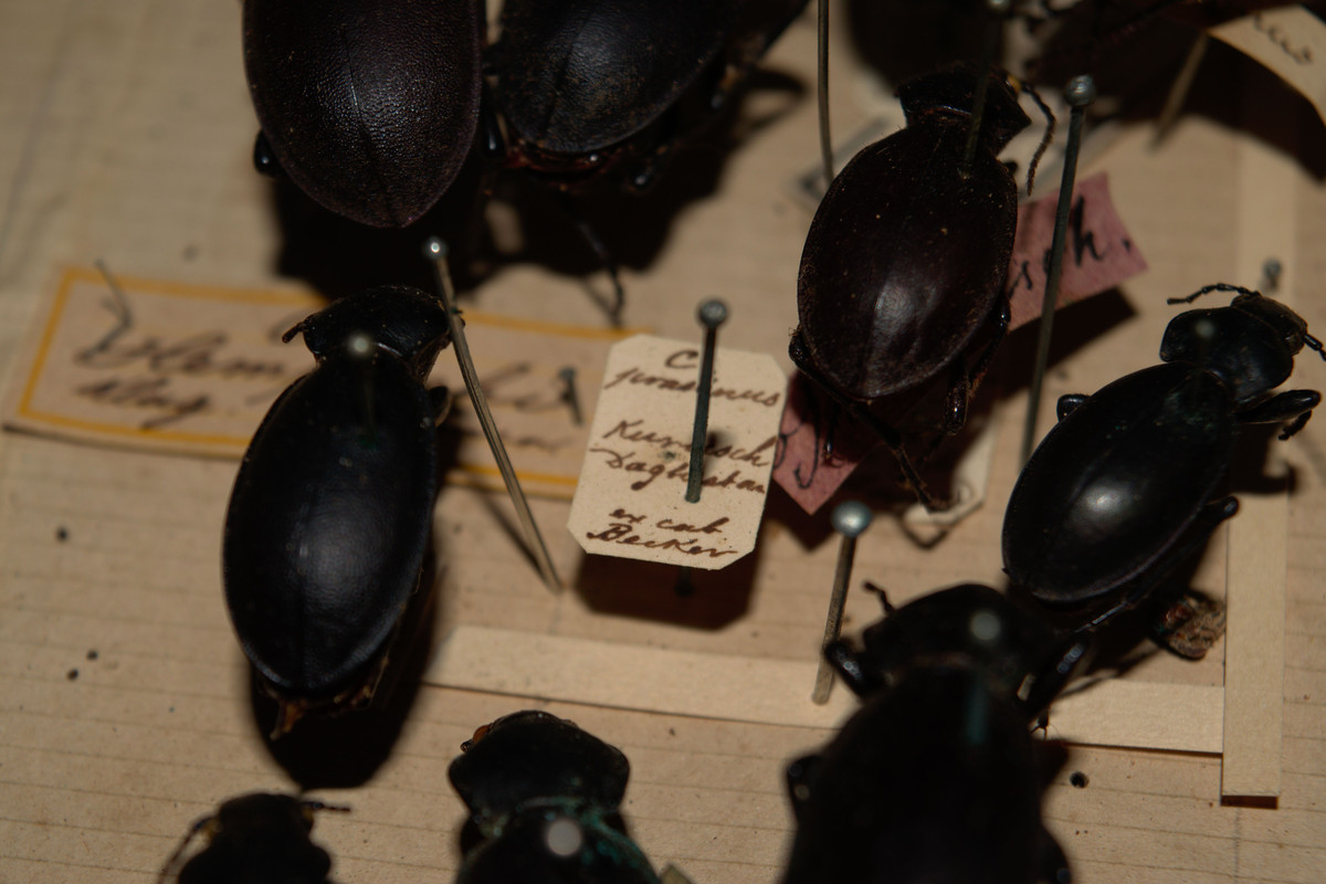 DSC0701 — Postimages