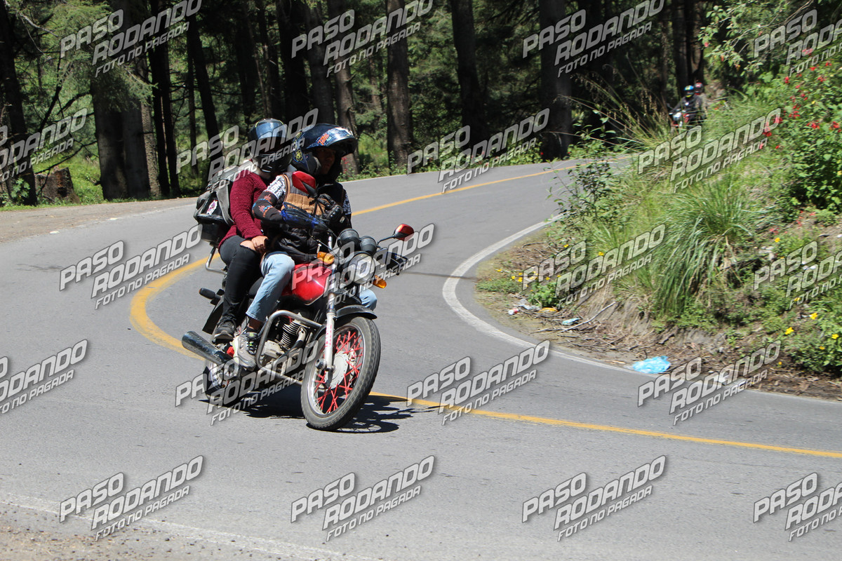 IMG 9221 wm 1377767 299999997 watermarked — Postimages