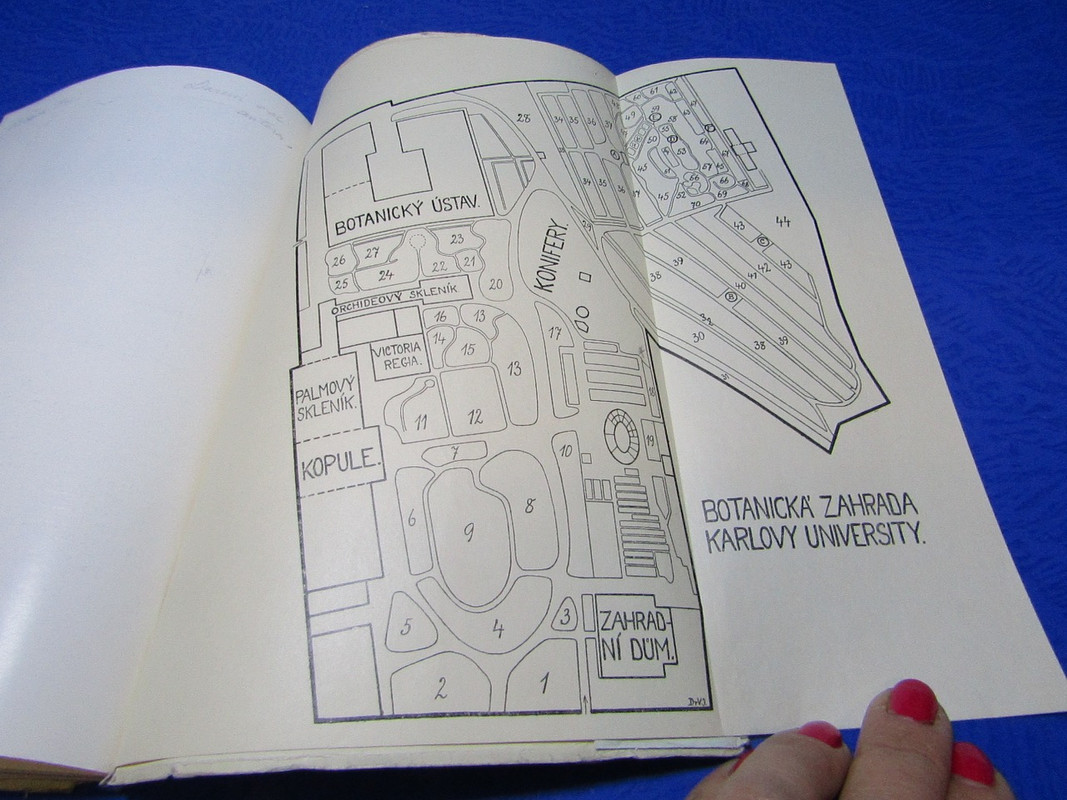 IMG 1717 — Postimages