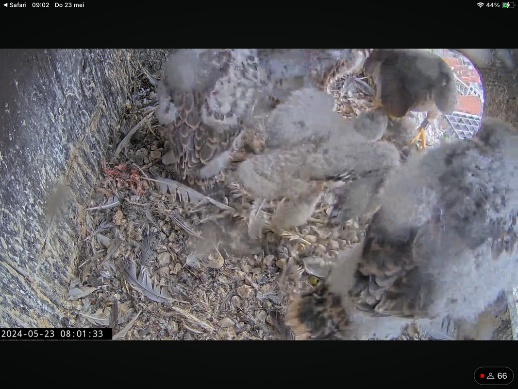 IMG 1092 — Postimages