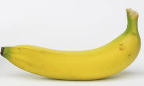 [Bug] Predictions are not accurate after running the sample object detection example. · Issue ...