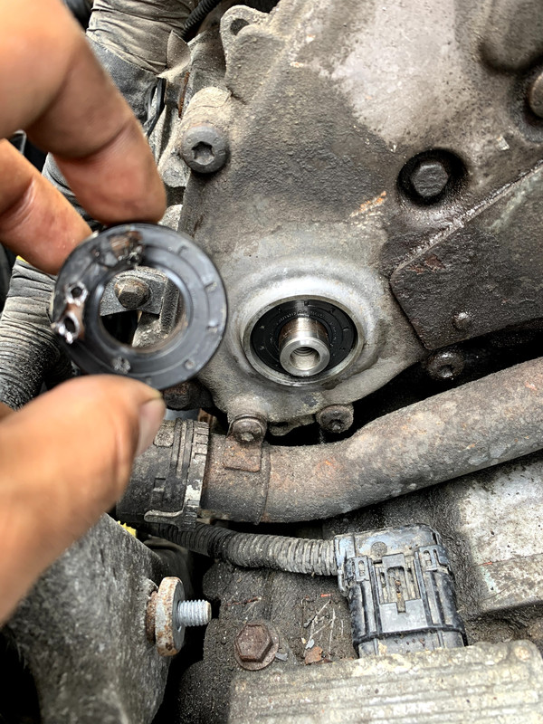 IMG 1842 — Postimages