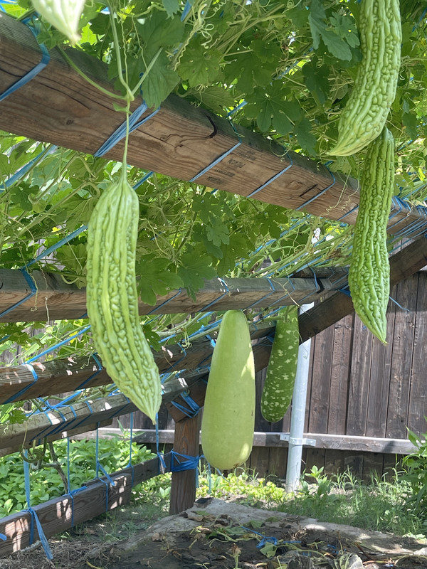 E52 A44 E7 F589 4 B0 C BE5 E E4361 EF219 E9 — Postimages