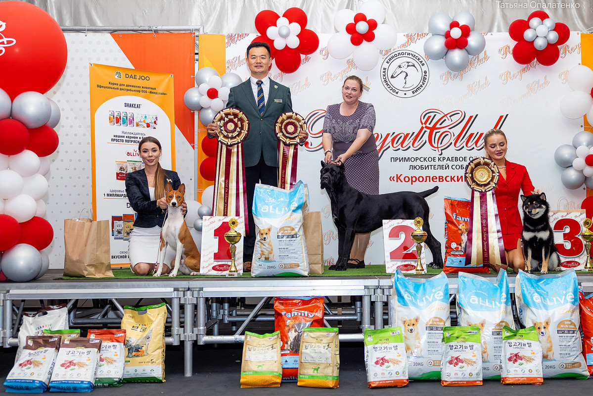 IMG 7398 — Postimages