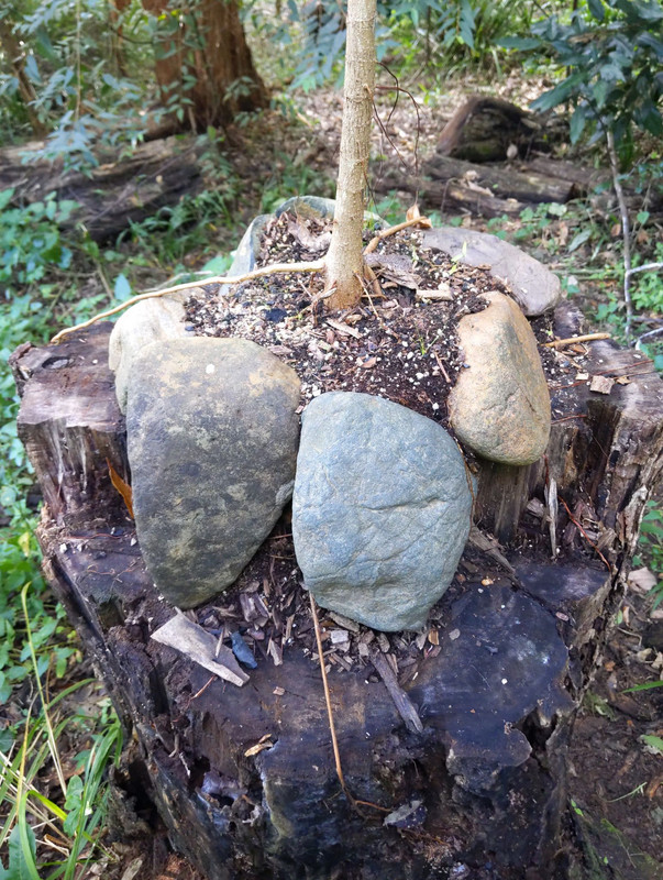 Imagepipe 1190 — Postimages