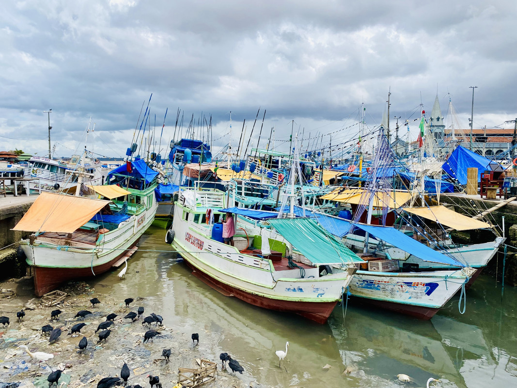 IMG 0532 — Postimages