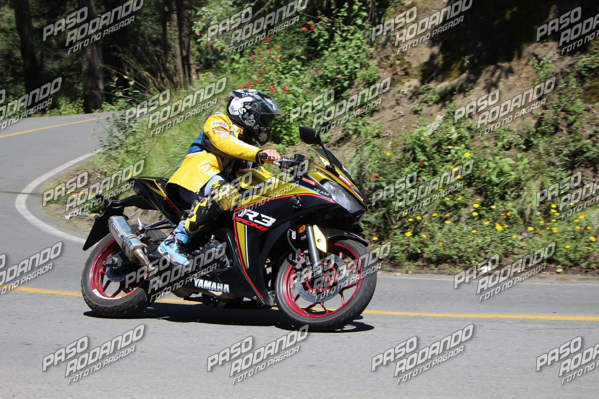 IMG 8756 wm 104793 19999999925 watermarked — Postimages