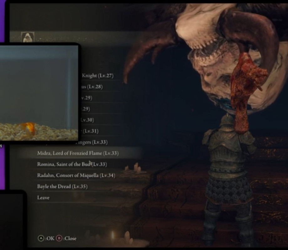 To all of the people crying about radahn being too hard: a goldfish ...