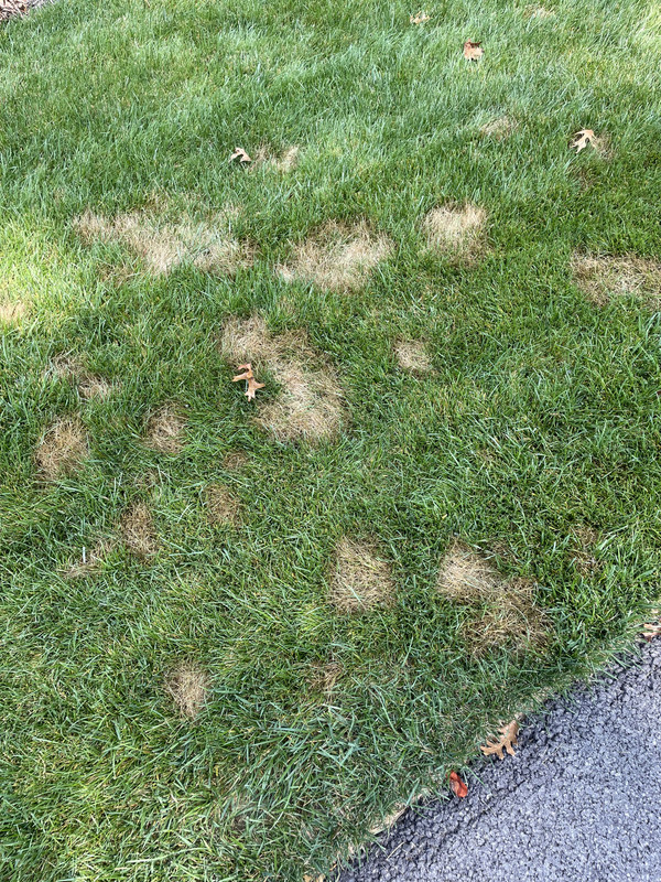 IMG 9901 — Postimages