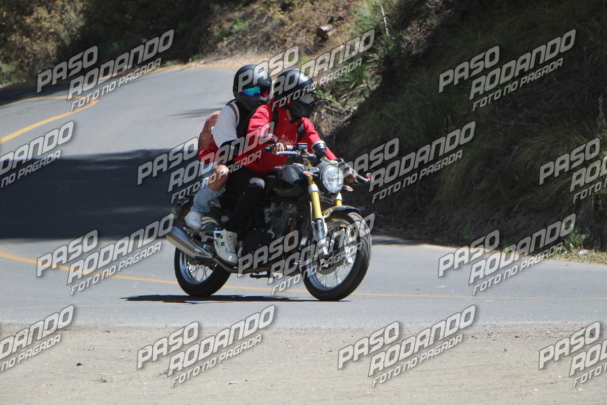 IMG 2102 wm 86879 90000000002 watermarked — Postimages