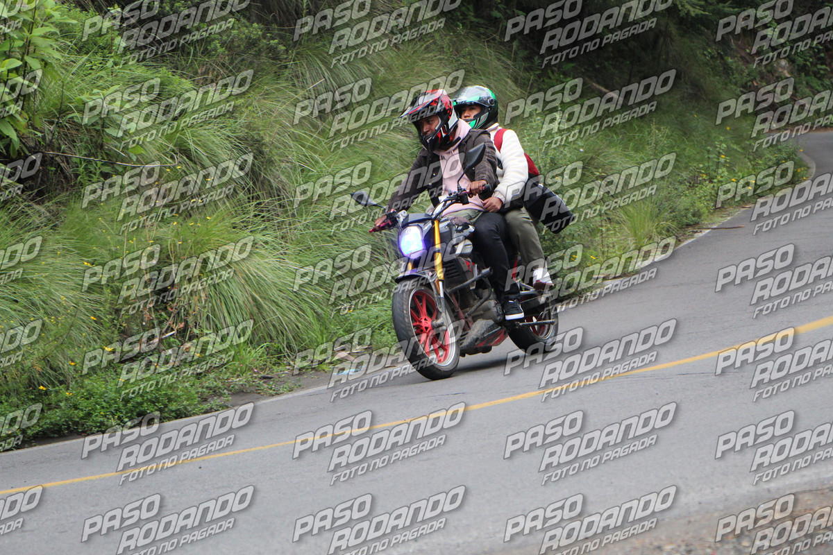 IMG 2263 wm 797880 3999999999 watermarked — Postimages