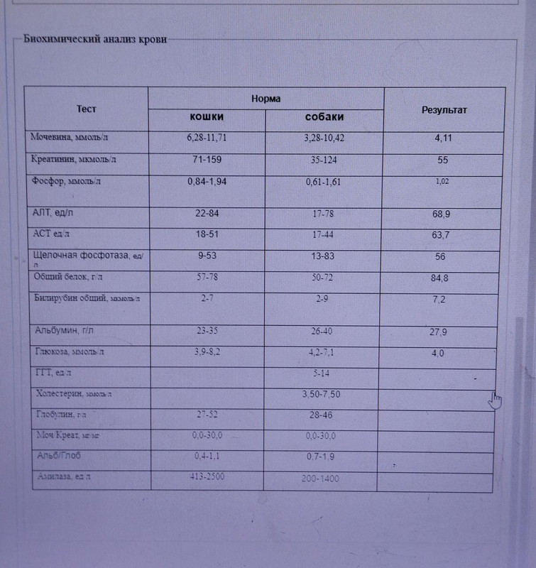E05 A6 E9 A 6817 49 E5 Be53 42 De50 A0 C2 A6 — Postimages