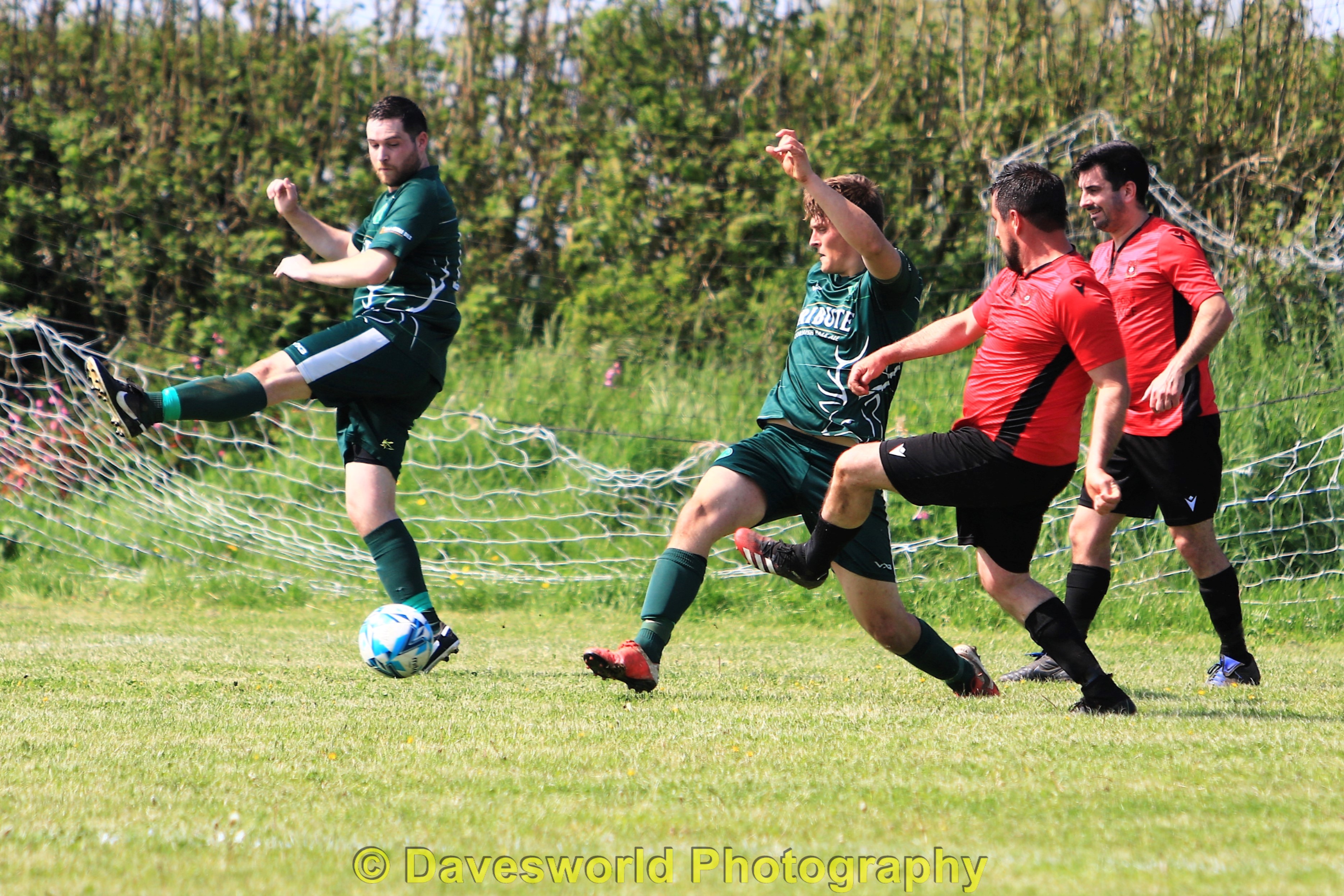 3A7A0173 — Postimages