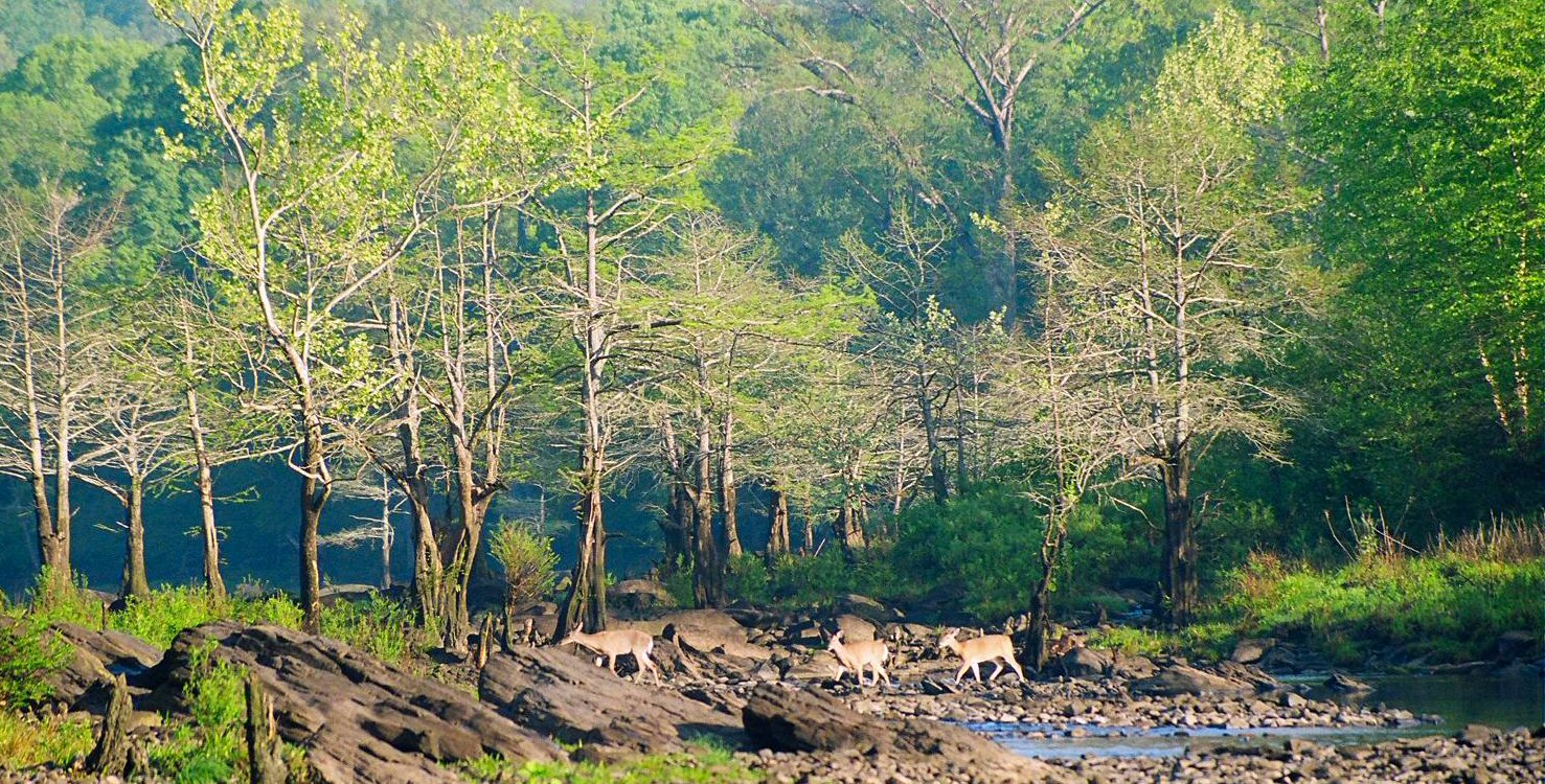 MF (103) — Postimages