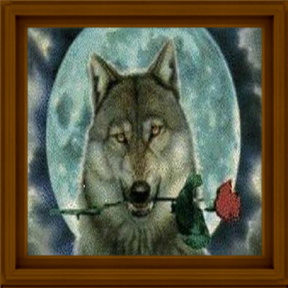 WOLF ROSE FRAMED — Postimages