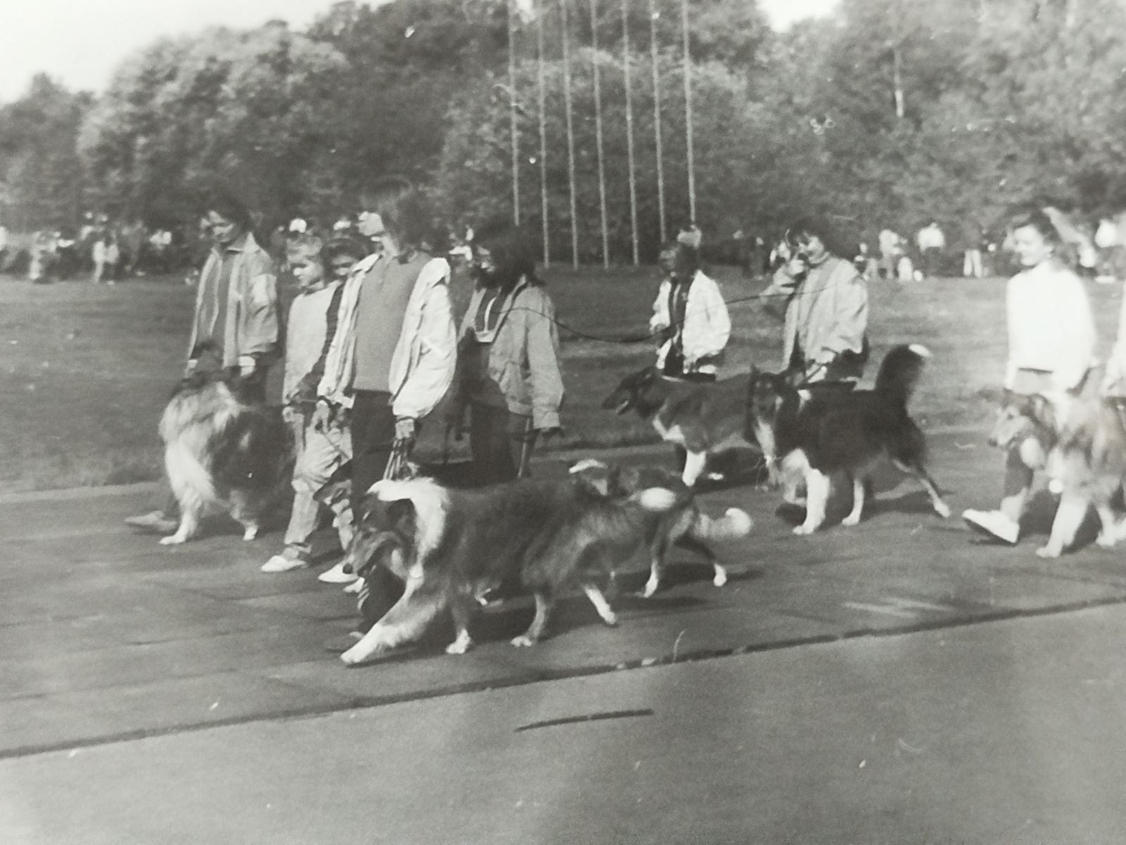 изображение viber 2024 06 01 23 02 52 962 — Postimages