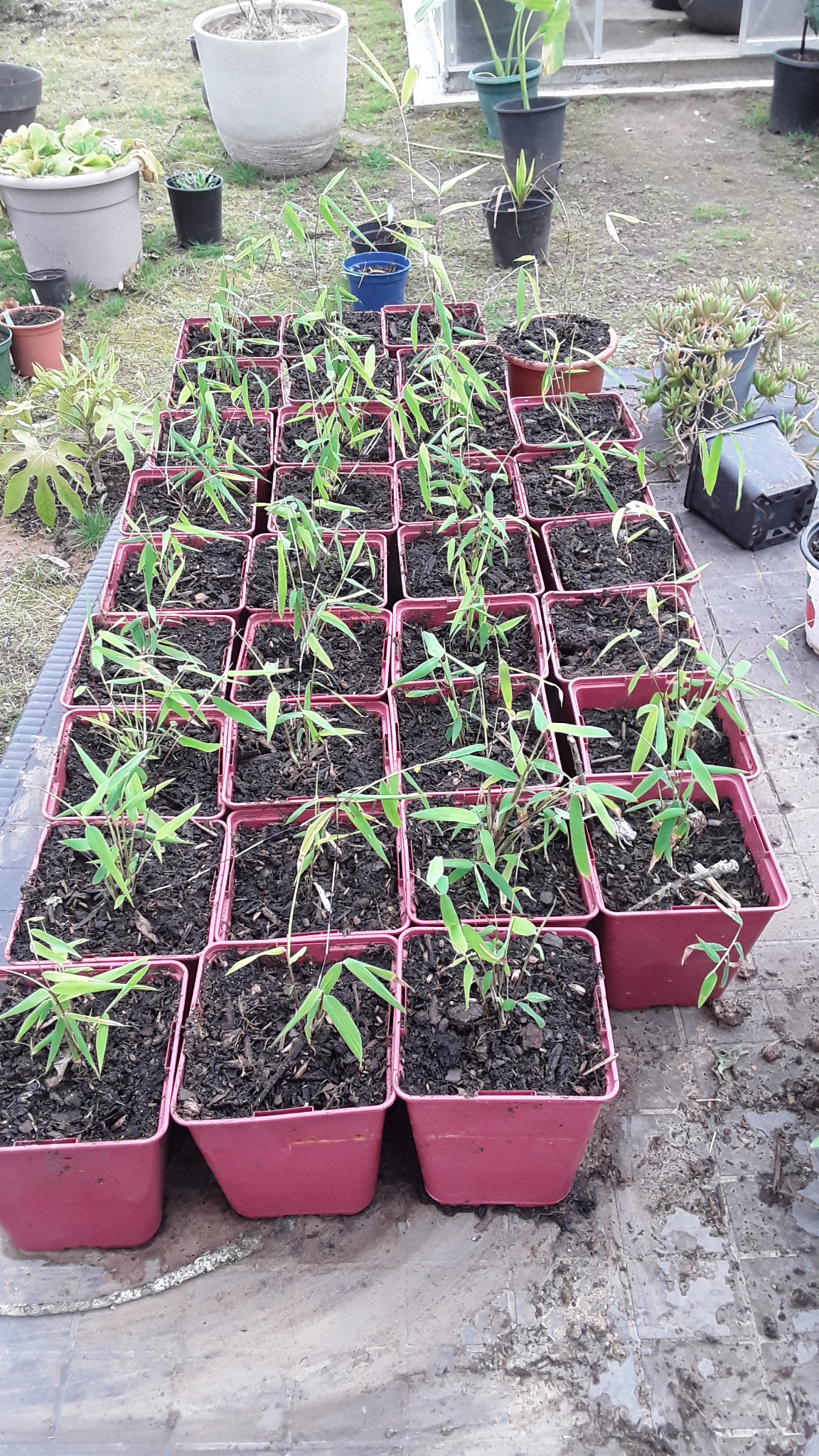 20230317 080000 — Postimages