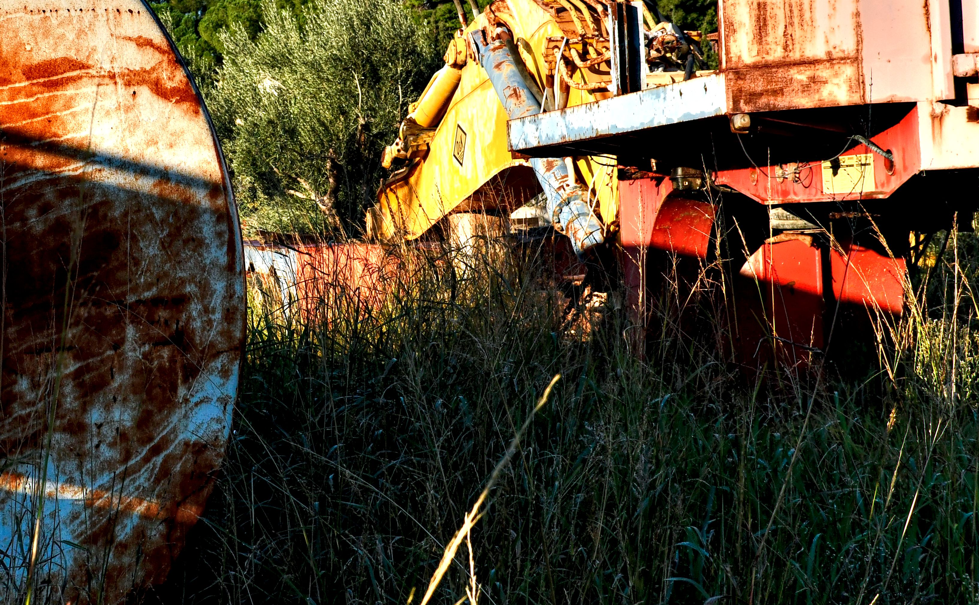 DSC 0806 01 — Postimages