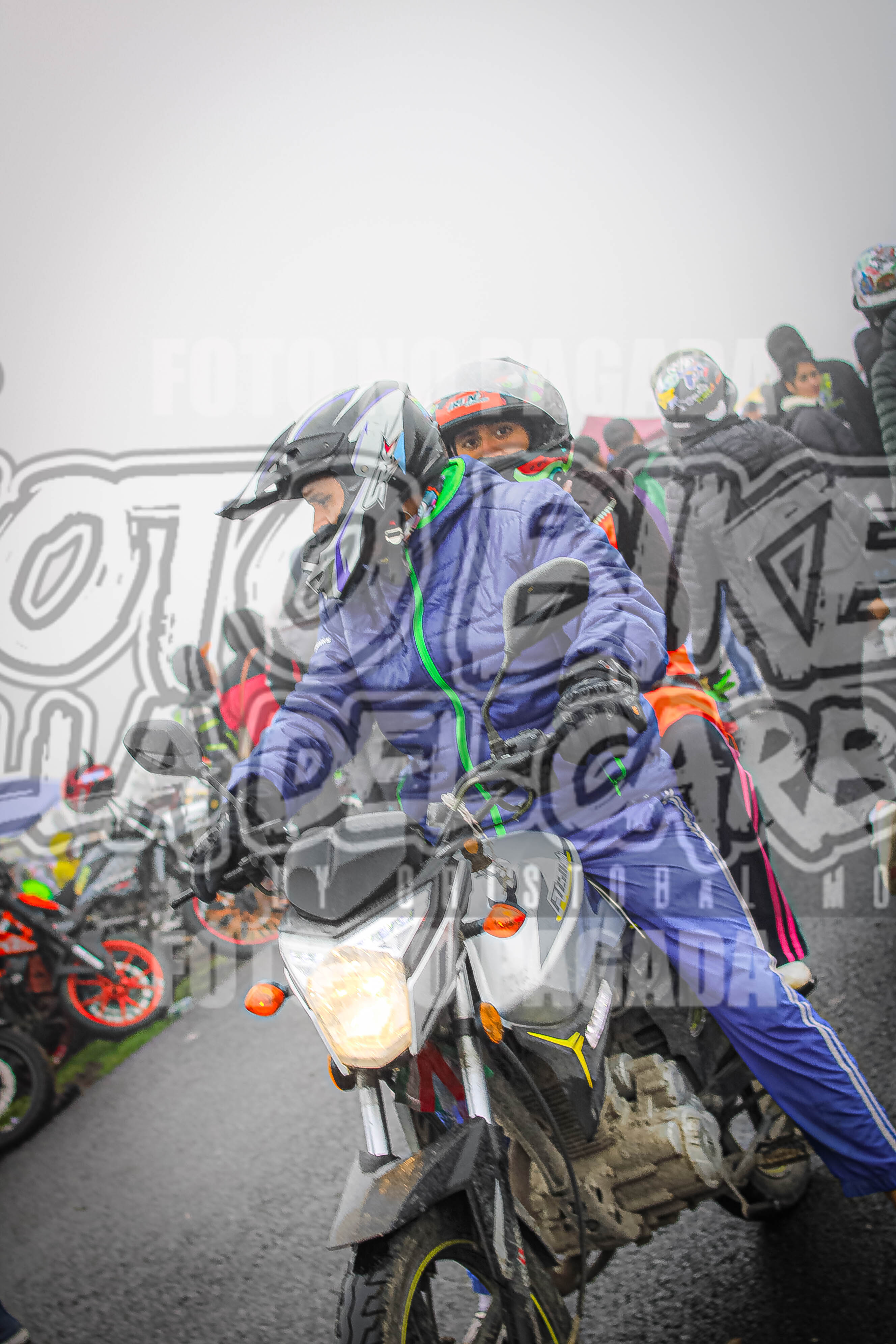 pald2 2001 — Postimages