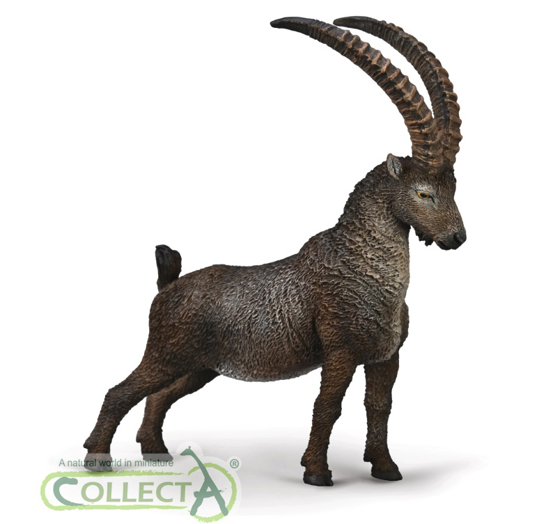 2024 Woodland Figure of the Year, time for your choices! - Maximum of 5