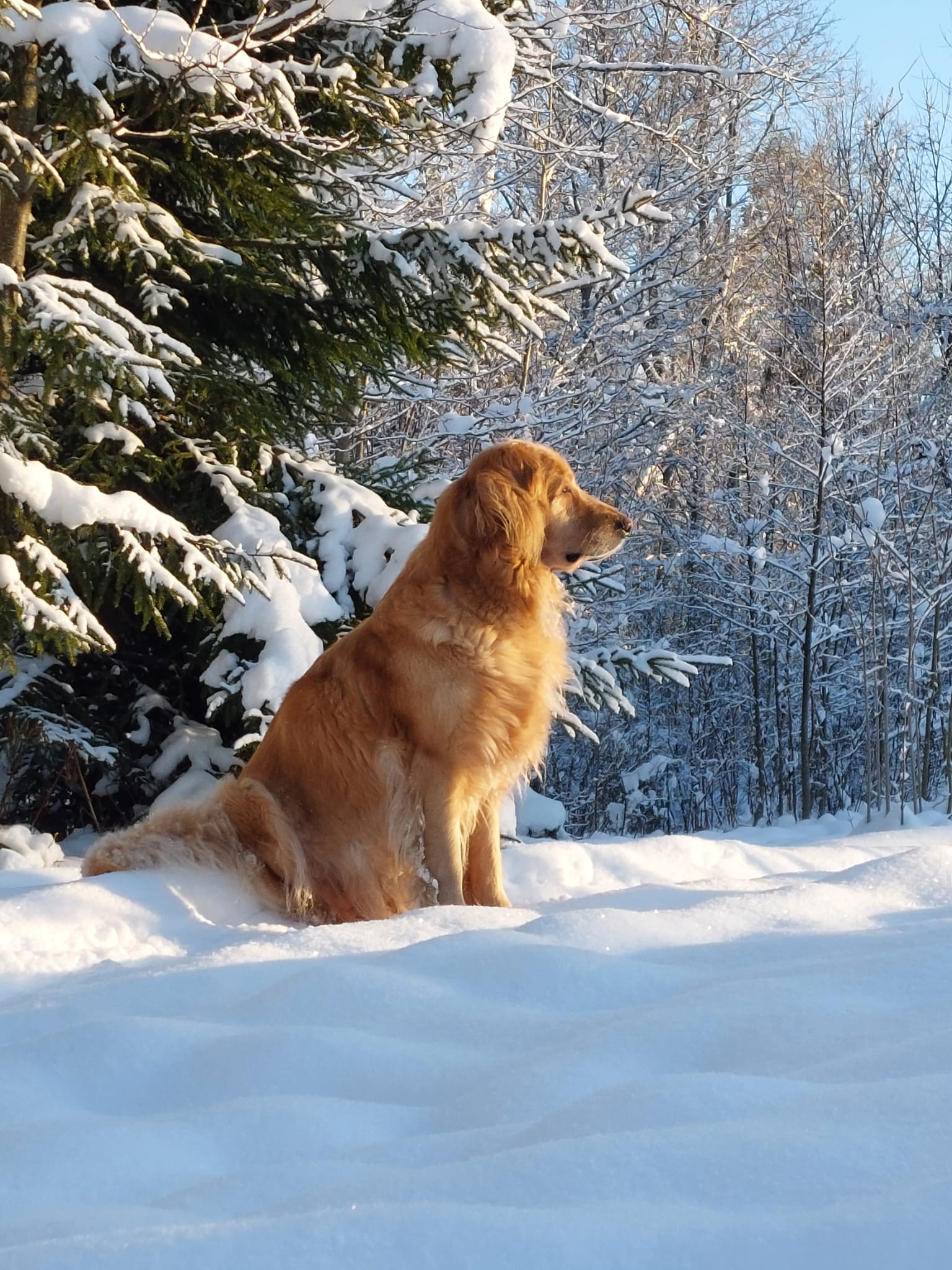 46a571eb 6eea 4b52 8ff7 267923097aa0 — Postimages