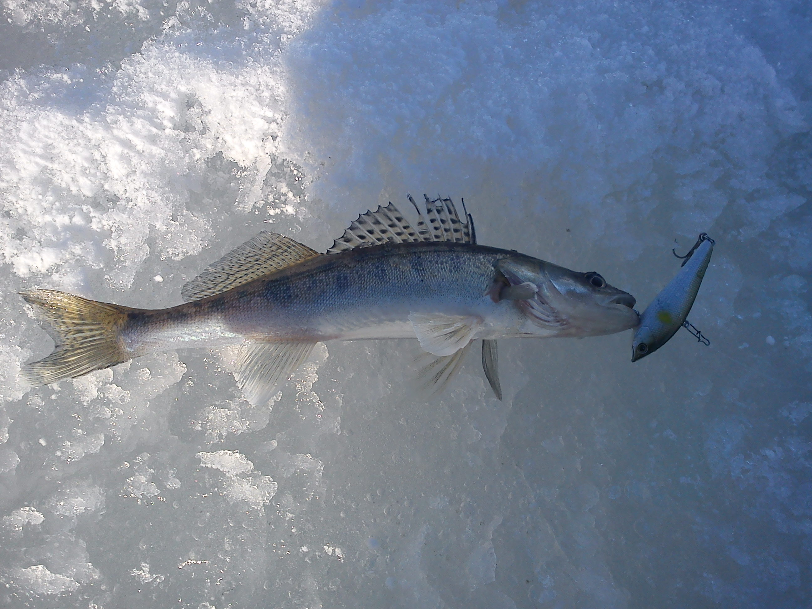 DSC00003 — Postimages