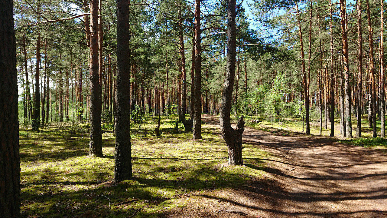 DSC 0100 — Postimages