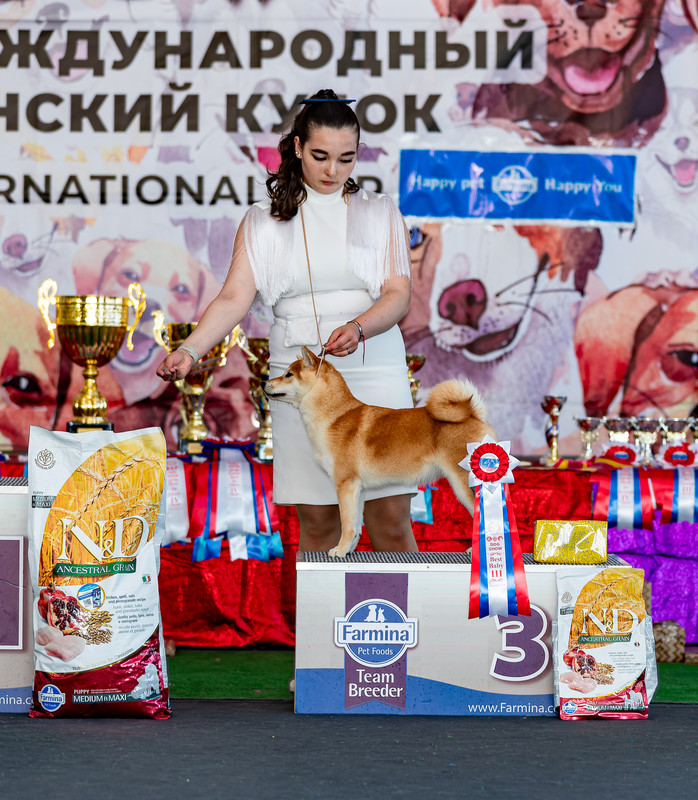 01 518 — Postimages