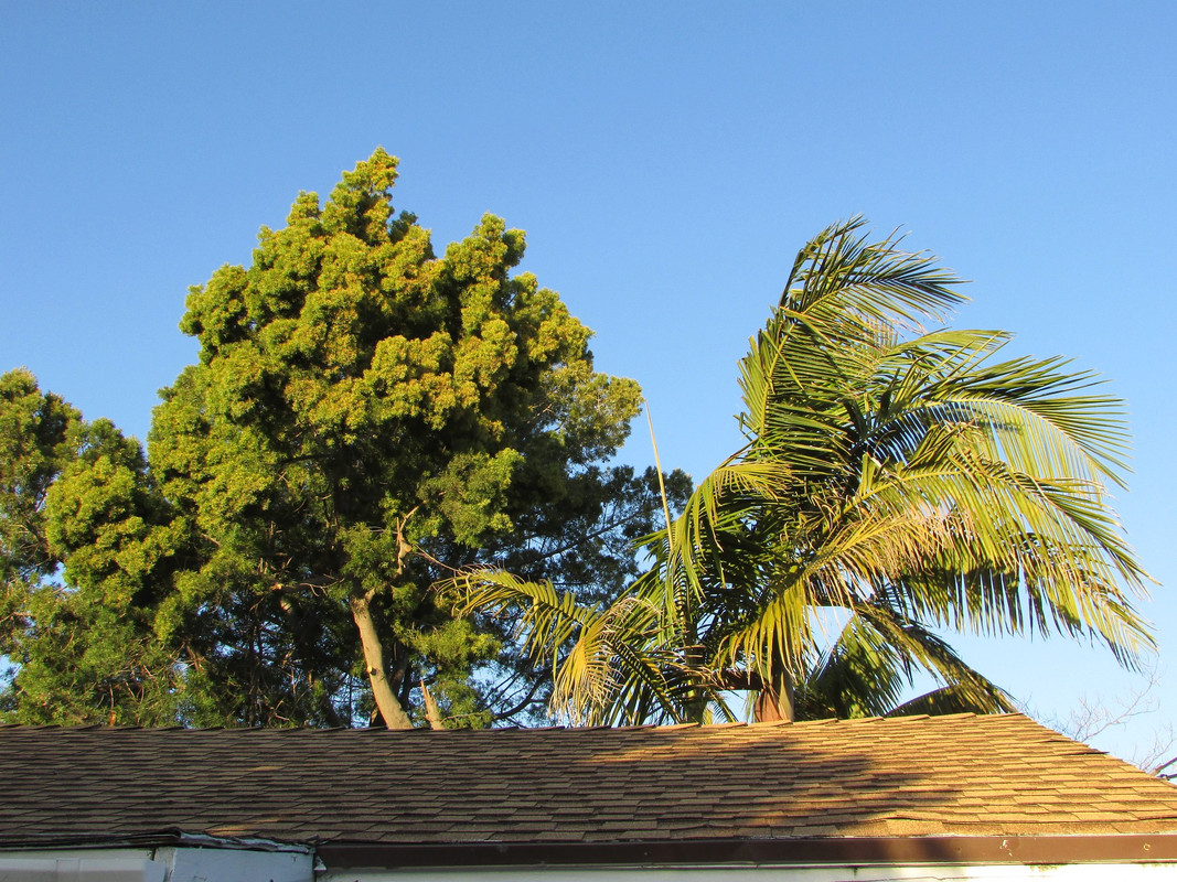 IMG 3476 — Postimages