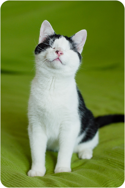 vik 60 — Postimages