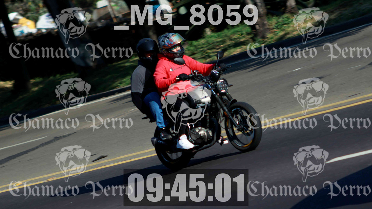 Album — Postimages