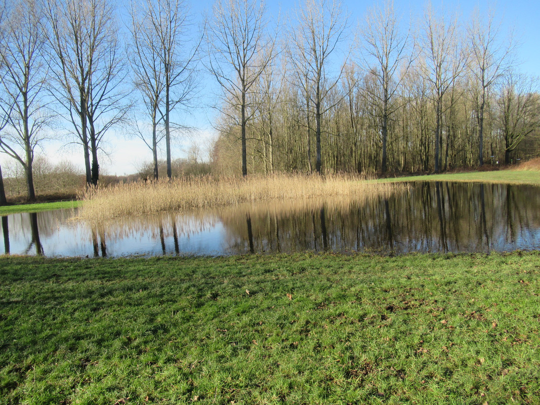 IMG 7383 — Postimages