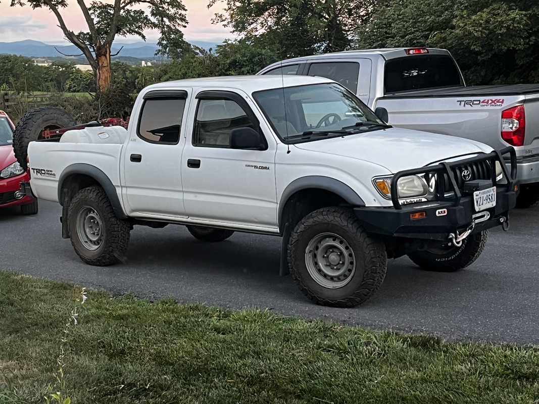 IMG 3353 — Postimages