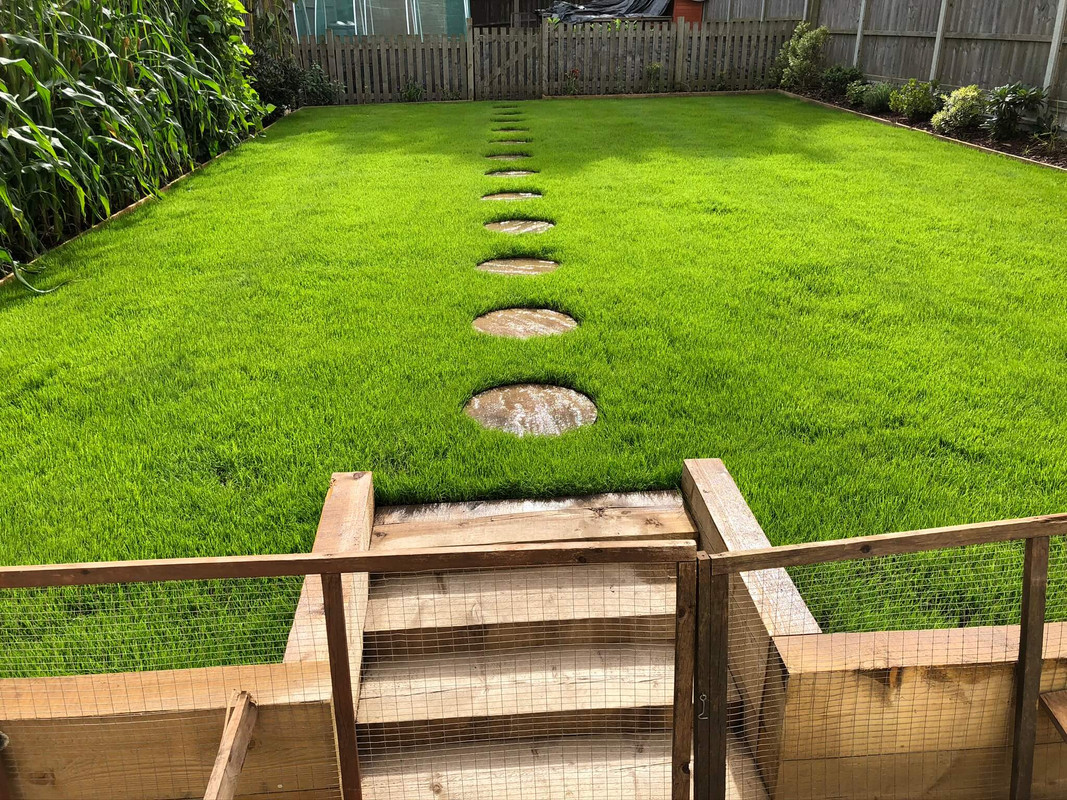 IMG 1808 (1) — Postimages