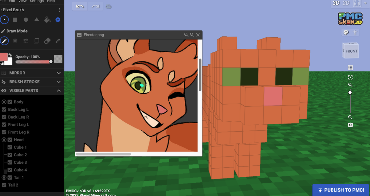 How To Make A Realistic Cat Mob Skin | Tutorial
