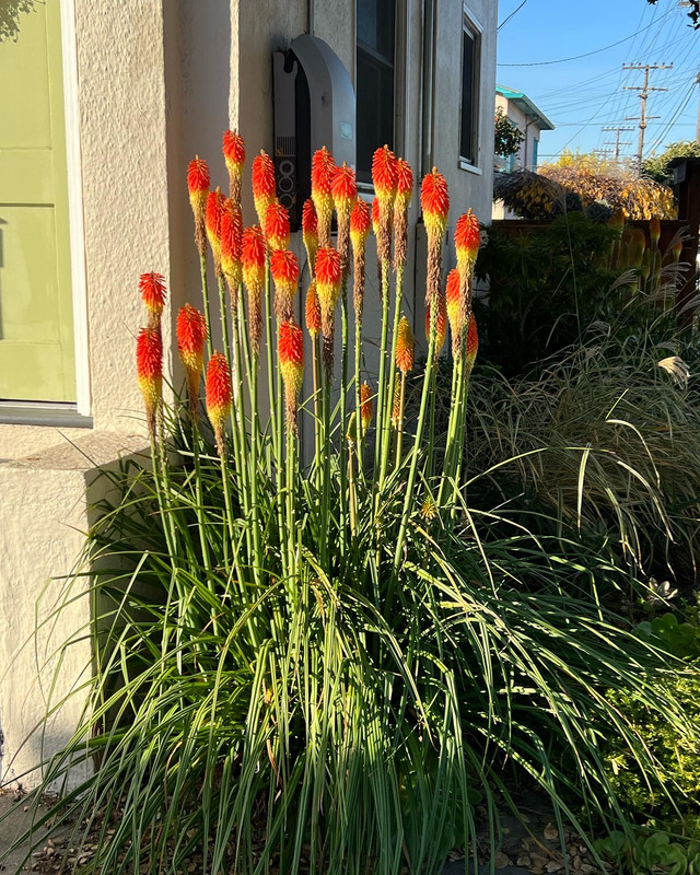 0 BFFDA7 C FE3 D 4021 8893 252 A092 DE7 A2 — Postimages