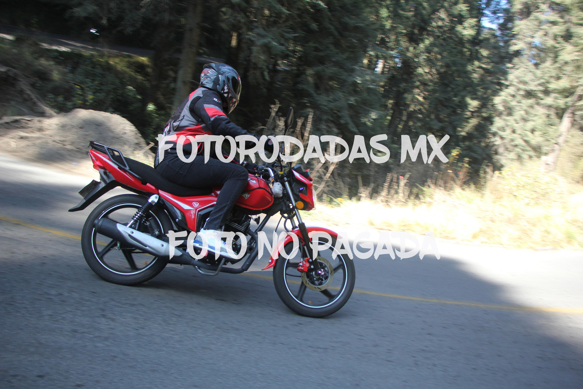 IMG 0422 — Postimages