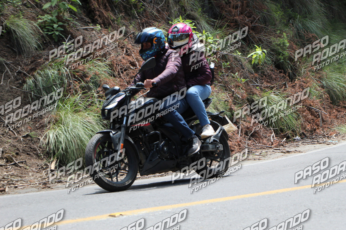 IMG 3739 wm 8559899 4 watermarked — Postimages