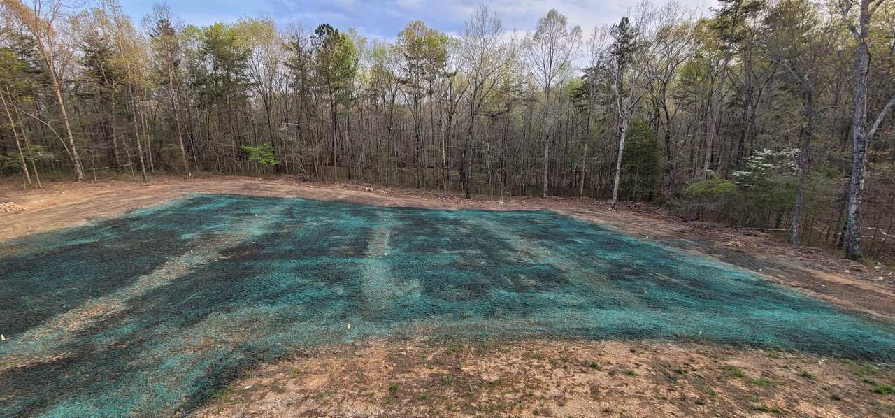 Bermuda Hydroseeding | Lawn Care Forum