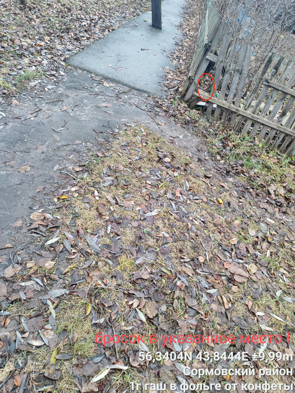 IMG 20231114 091533 — Postimages