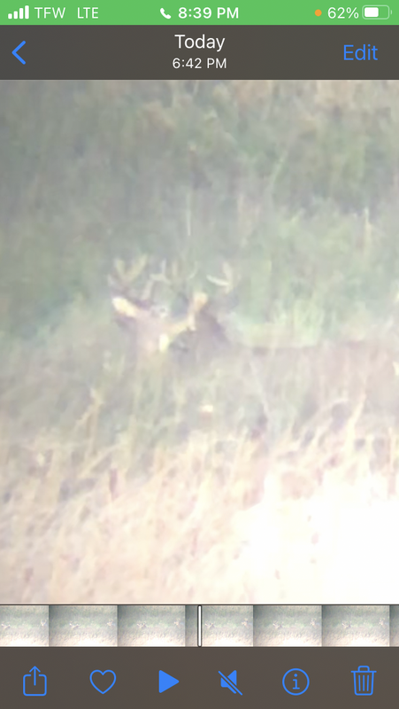 406 BFC4 B 4 DD4 4886 925 A BD1 EBDC823 C3 — Postimages