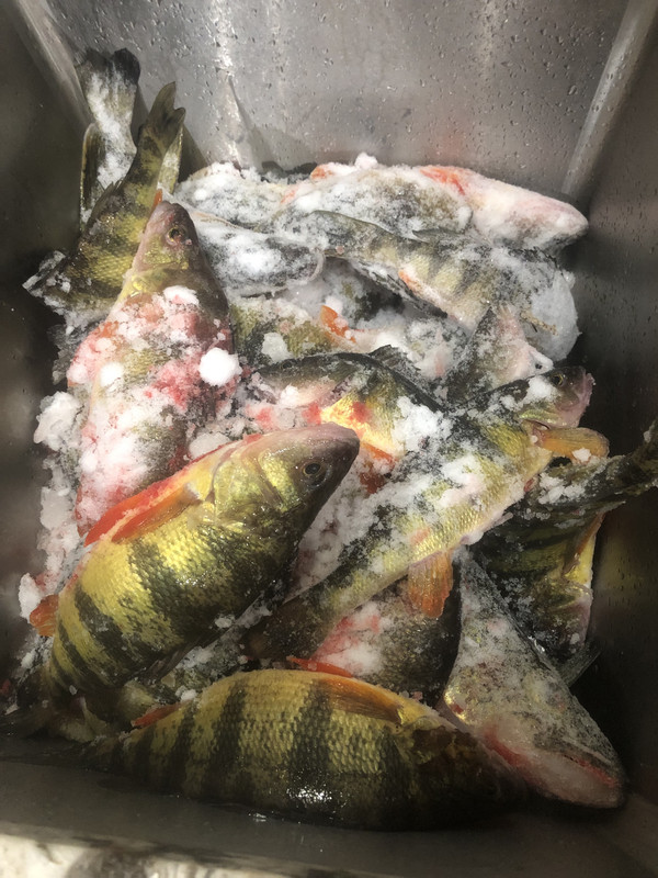 72636140287 BF2 FA7 B3 0 C7 D 4 C53 8 AFF 9 D8 F143 B054 F — Postimages