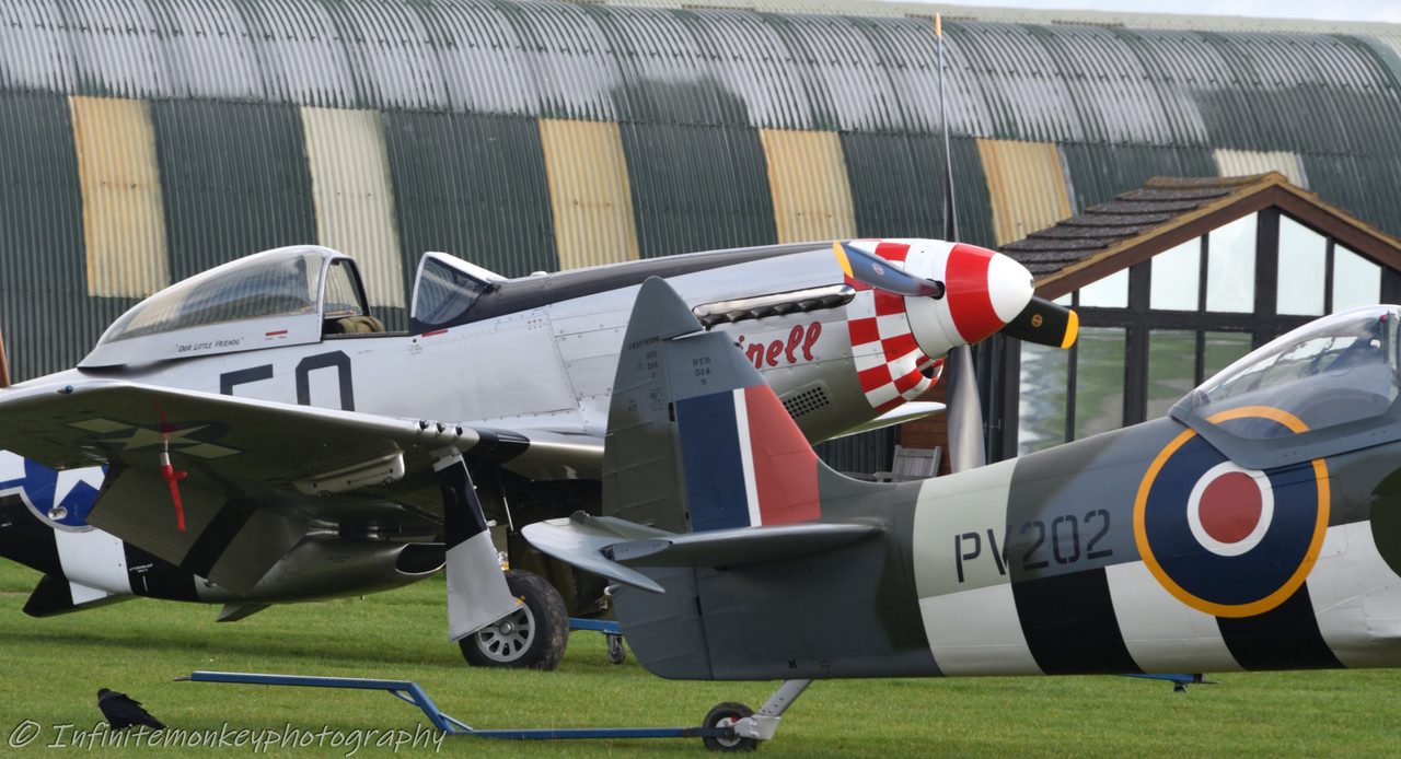 DSC 1405 — Postimages