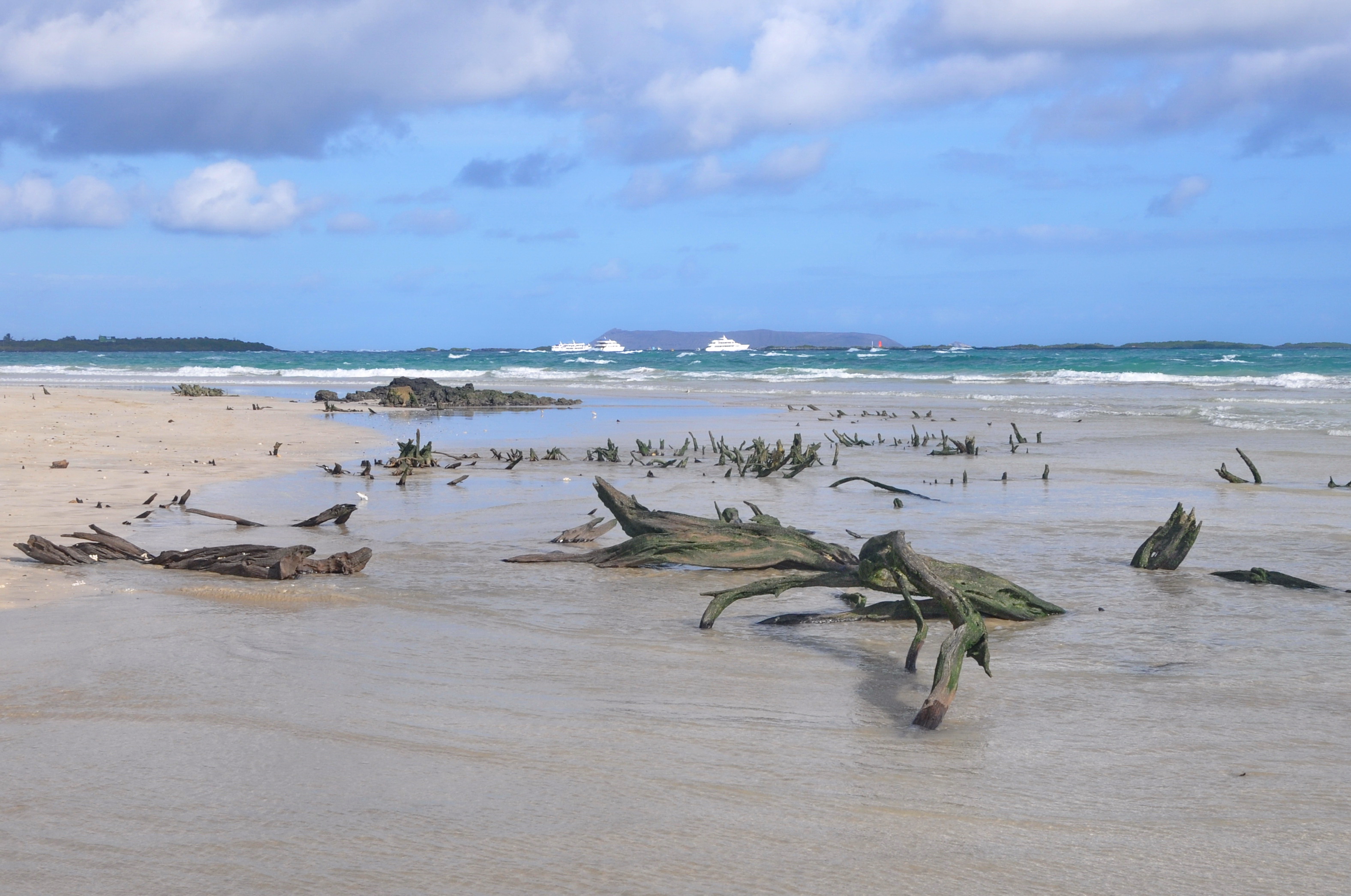 DSC 0480 — Postimages